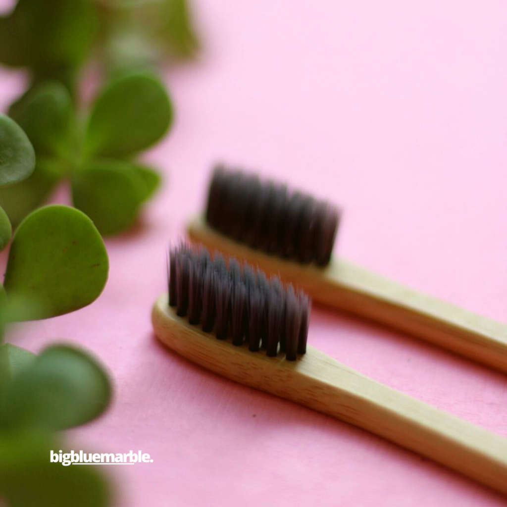 Big Blue Marble : Bamboo Toothbrush Family Pack - Ceiba Green